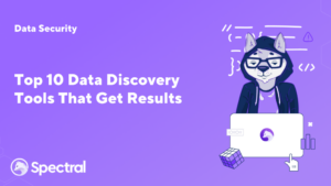 Top 10 Data Discovery Tools That Get Results - Spectral