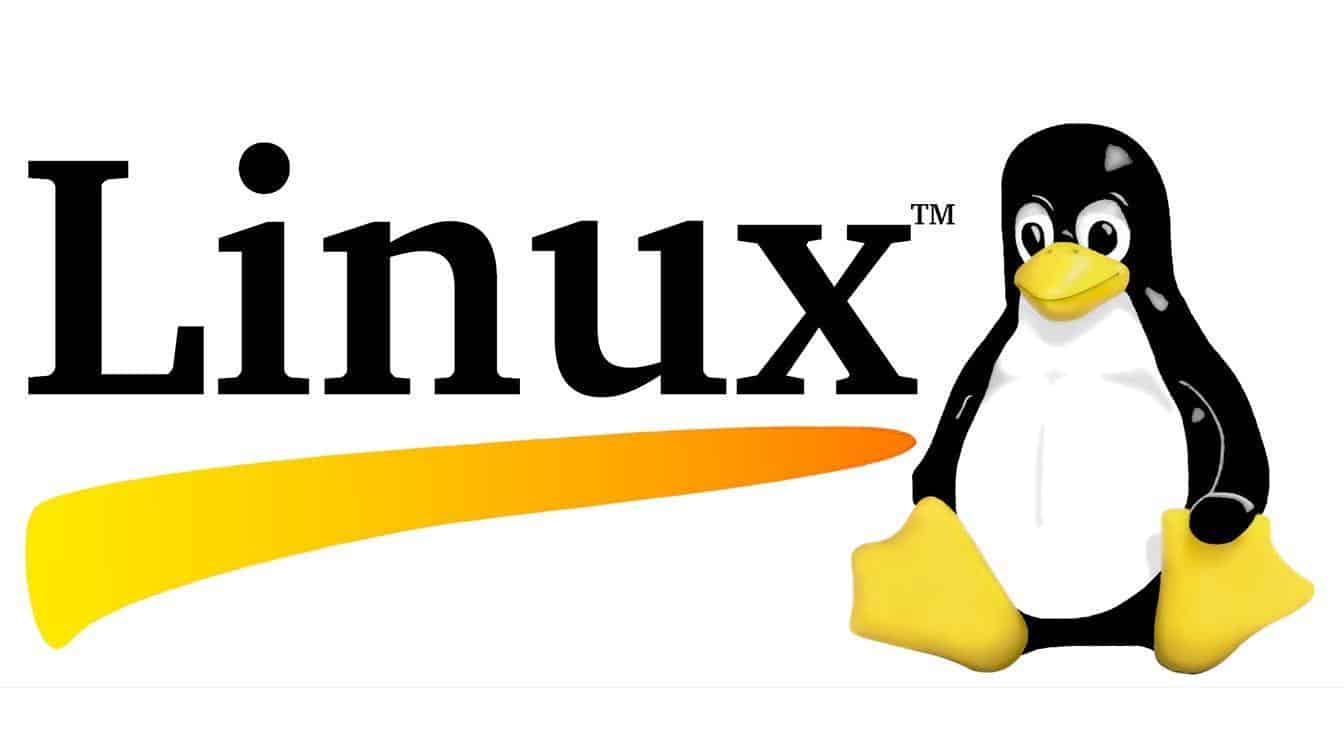 Top 10 Linux Vulnerability Scanners for 2024 - Spectral