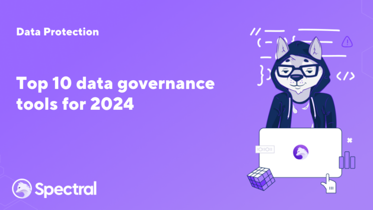 Top 10 data governance tools for 2024 - Spectral