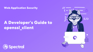 A Developer’s Guide to openssl_client - Spectral